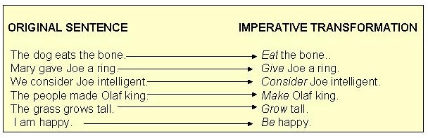 What Is Imperative Sentence And Example What Is 10 Examples Of 